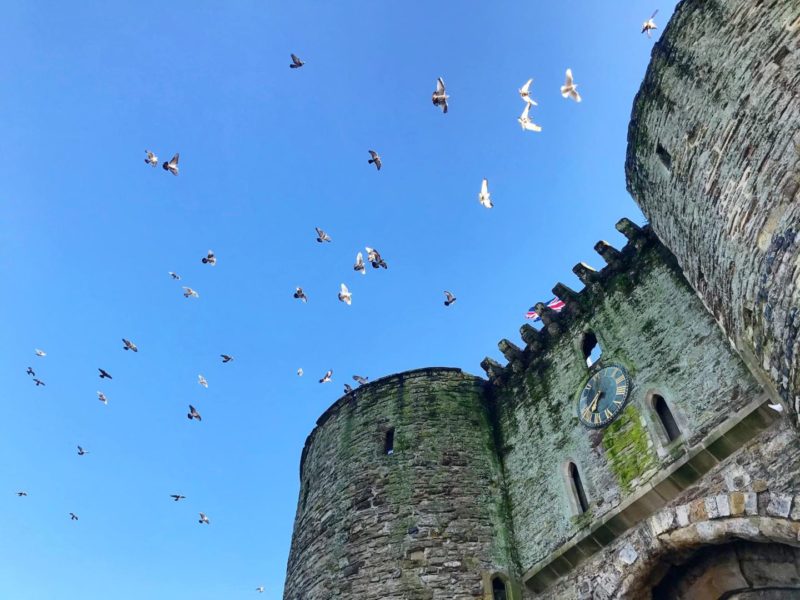 Top Things to do in Rye, East Sussex: The Ultimate Guide | In Search of ...