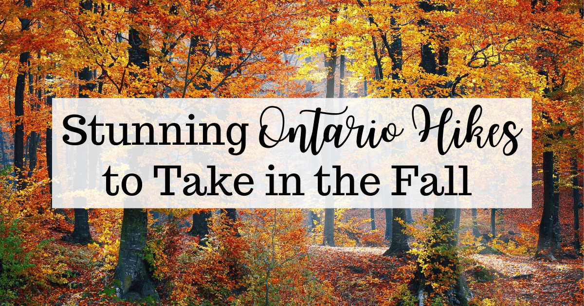 Stunning Ontario Hikes to Take in the Fall | In Search of Sarah