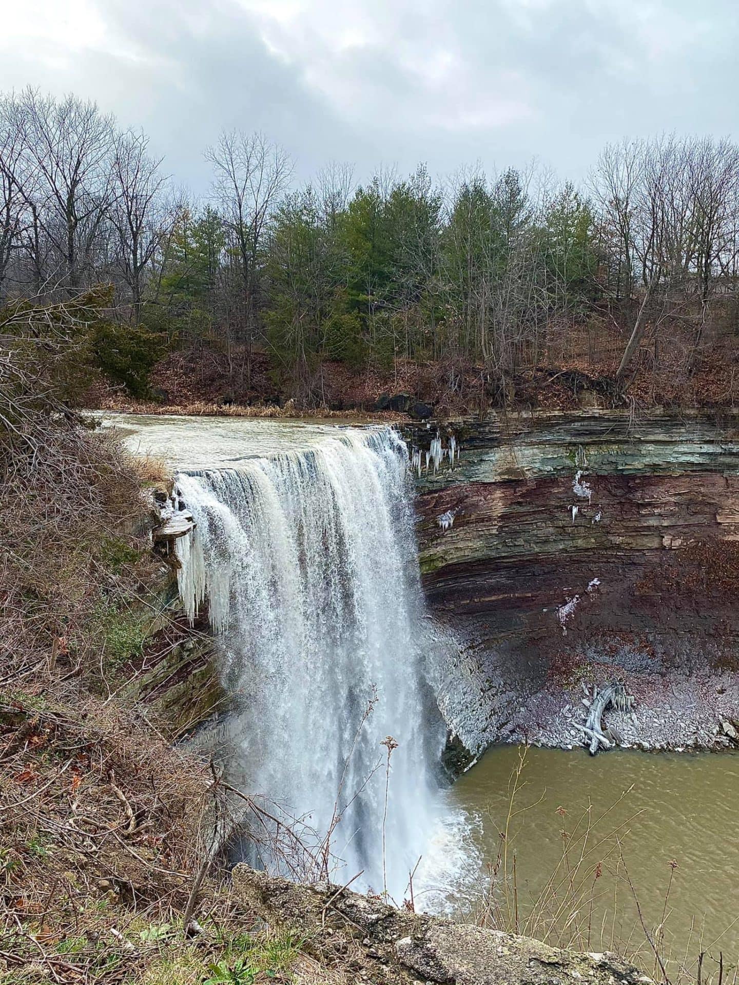 The Most Beautiful Winter Hiking Trails in Niagara | In Search of Sarah