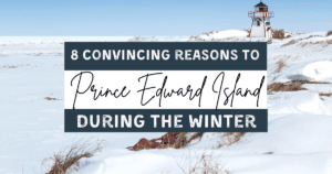 8 Convincing Reasons to Visit PEI During the Winter | In Search of Sarah