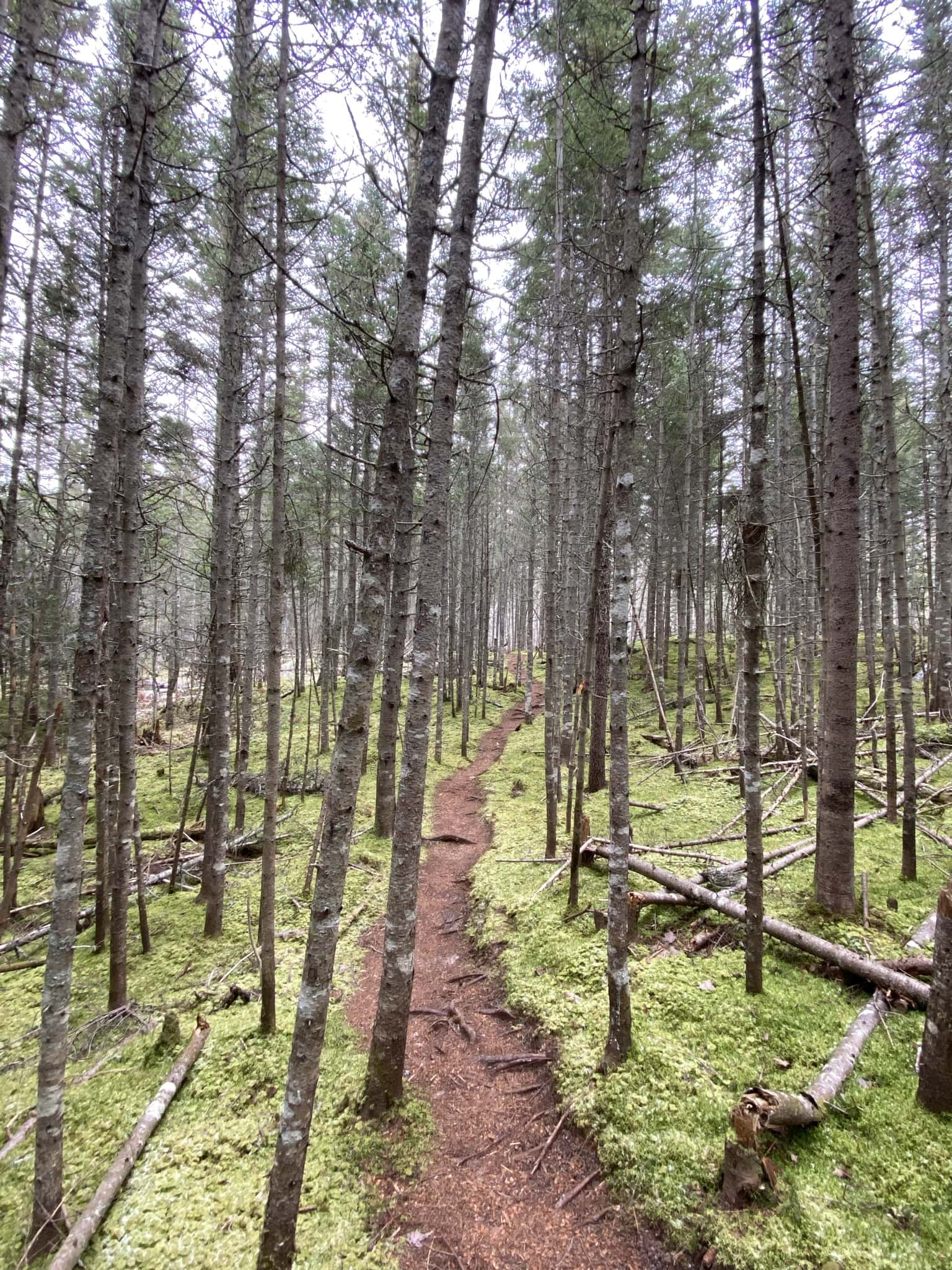 15+ Breathtaking Things to Do During the Winter in PEI | In Search of Sarah