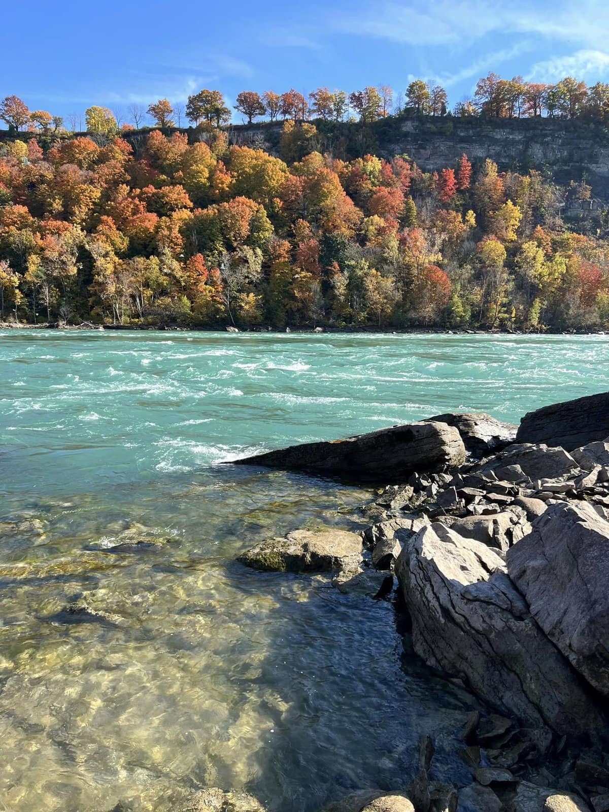 Where to Picnic in Niagara Falls (9+ Best Areas!) | In Search of Sarah