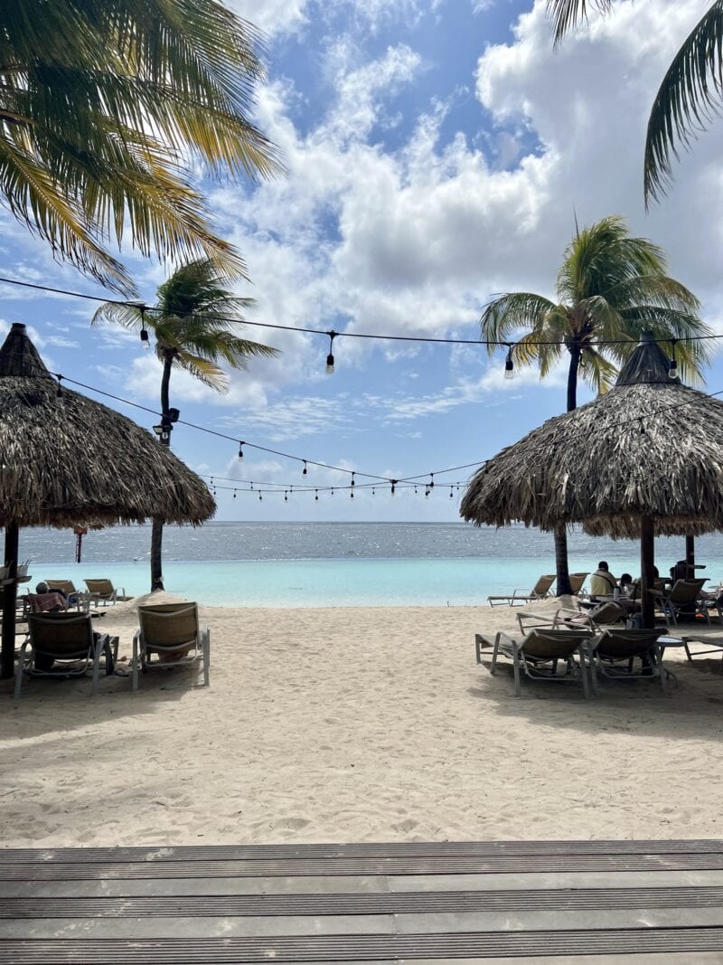 20+ Best Things to do in Curaçao | In Search of Sarah