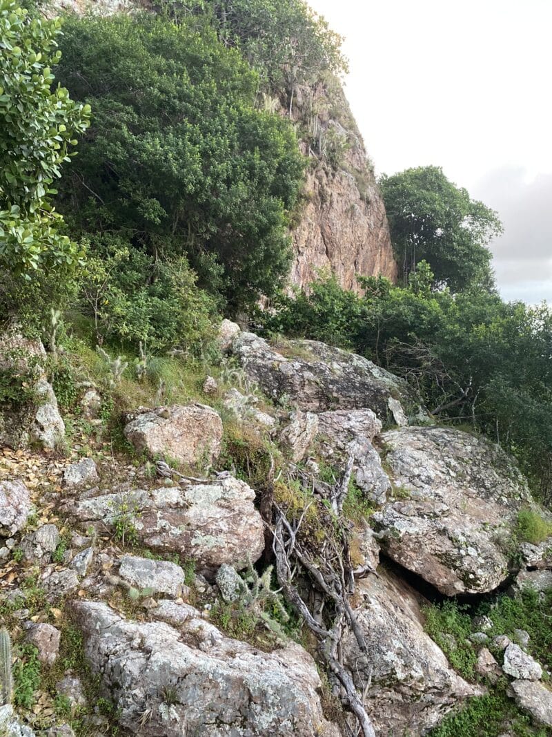 The Complete Guide to Hiking Mount Christoffel in Curaçao