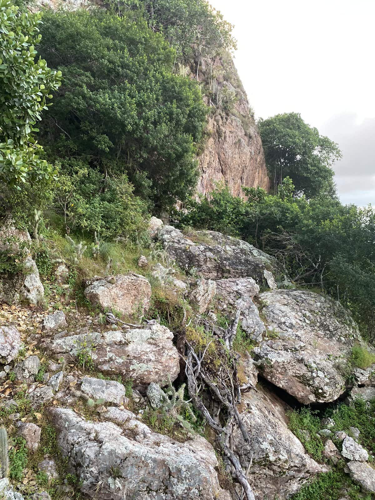 The Complete Guide to Hiking Mount Christoffel in Curaçao