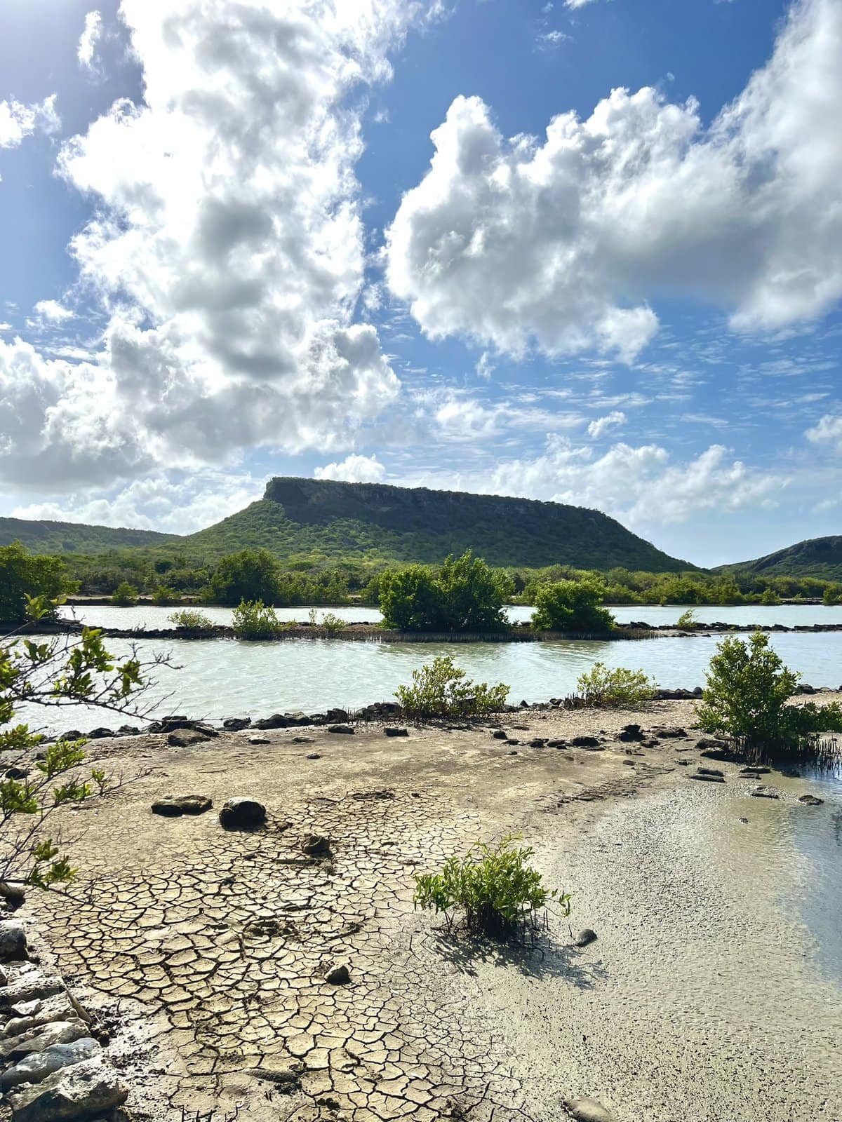 20+ Best Things to do in Curaçao | In Search of Sarah