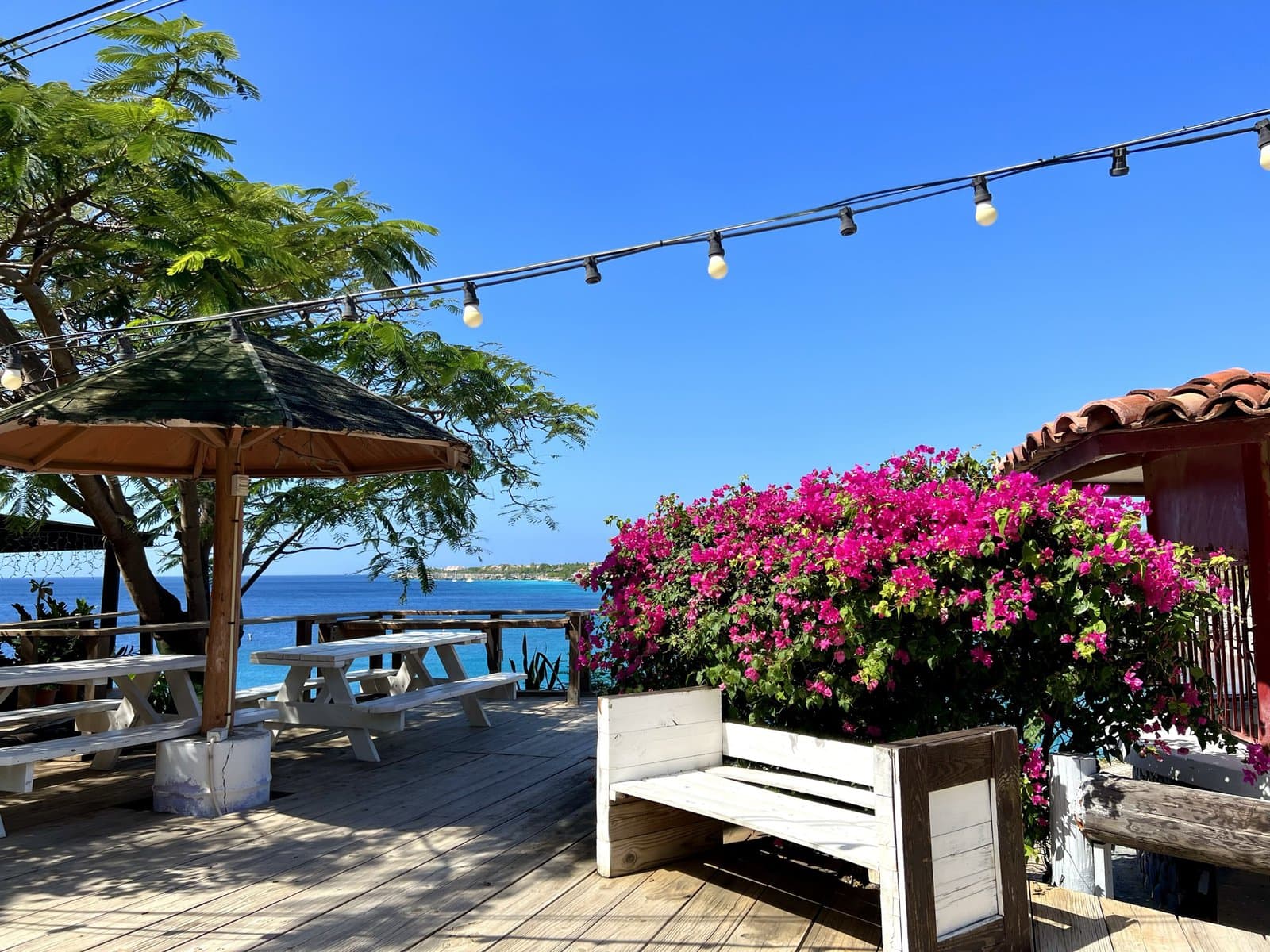 20+ Best Things to do in Curaçao | In Search of Sarah