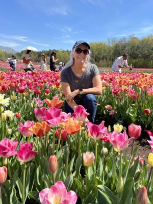 Visit these Amazing Tulip Farms in Niagara this Spring!