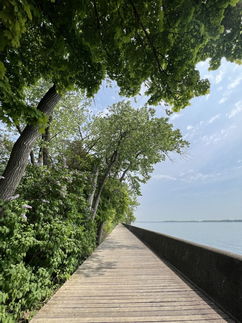 Ultimate Toronto Island Guide: How To Get There & What To Do