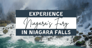 Niagara's Fury: Experience How Niagara Falls was Formed!