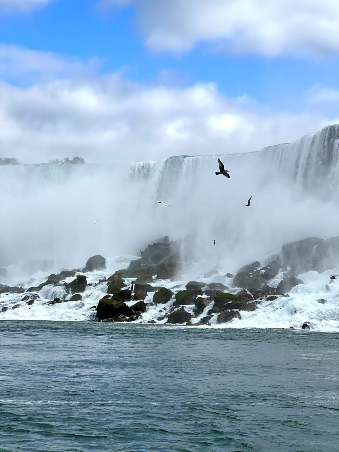 See Sight Tours Niagara Falls Review - Best of Niagara Falls