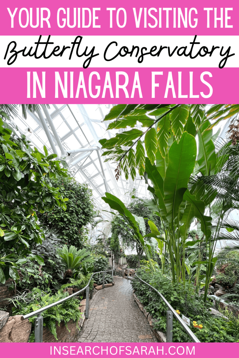 Visiting the Butterfly Conservatory in Niagara Falls (2023)