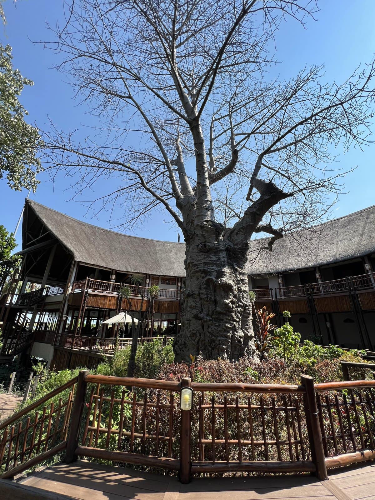 Cresta Mowana Safari Resort & Spa: Hidden Luxury in Botswana