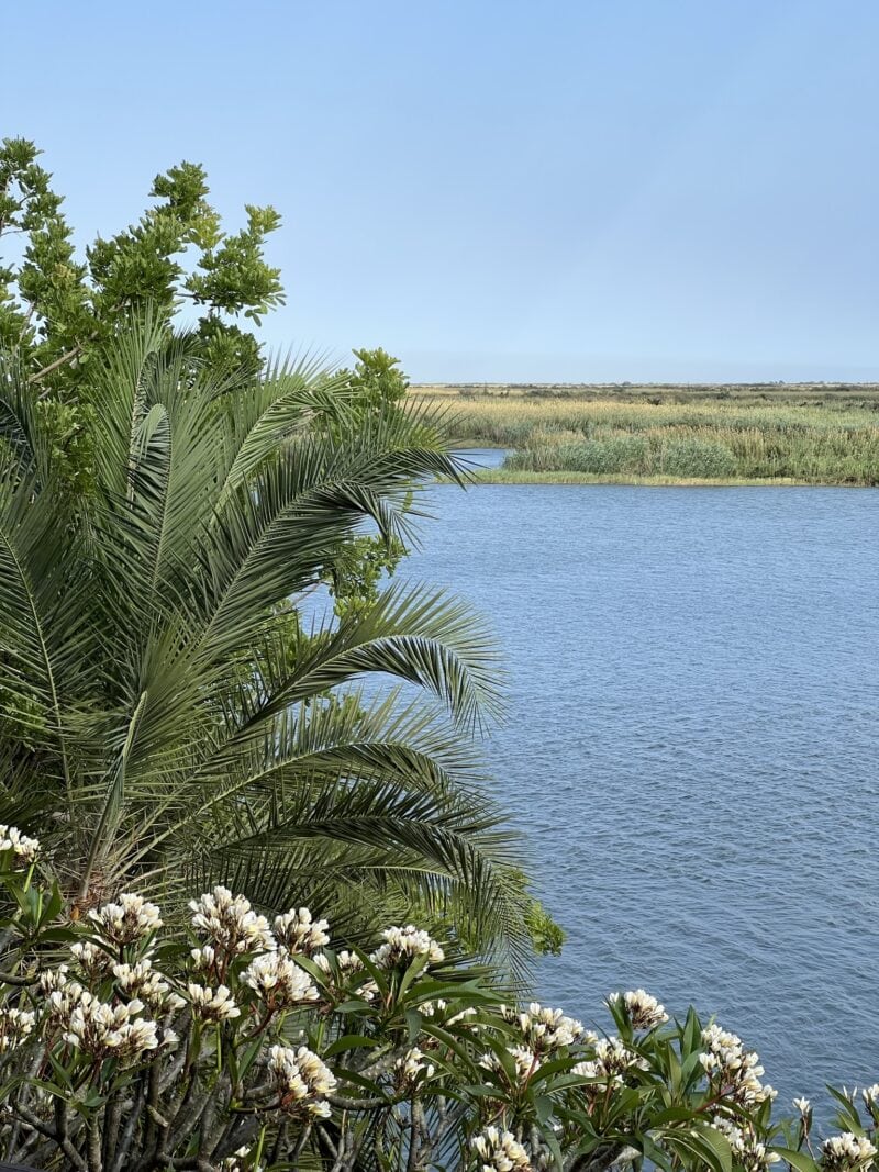 Cresta Mowana Safari Resort & Spa: Hidden Luxury in Botswana