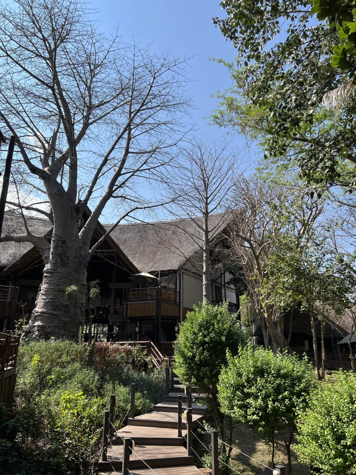 Cresta Mowana Safari Resort & Spa: Hidden Luxury in Botswana