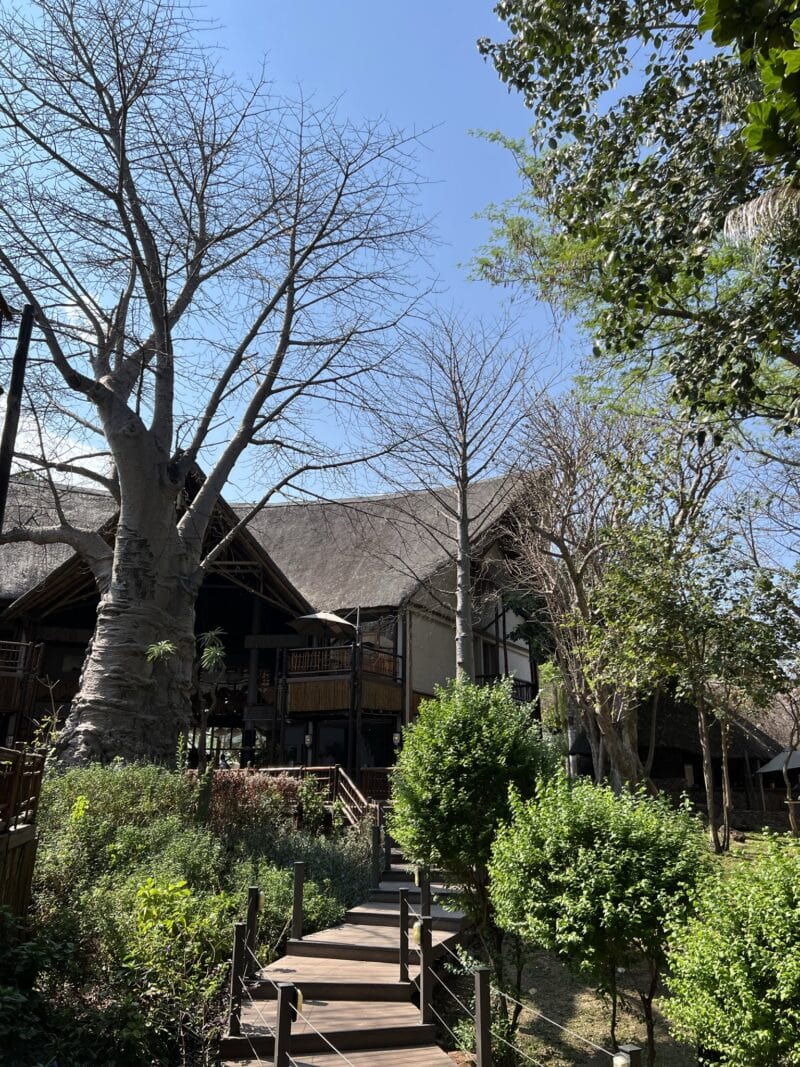 Cresta Mowana Safari Resort & Spa: Hidden Luxury in Botswana