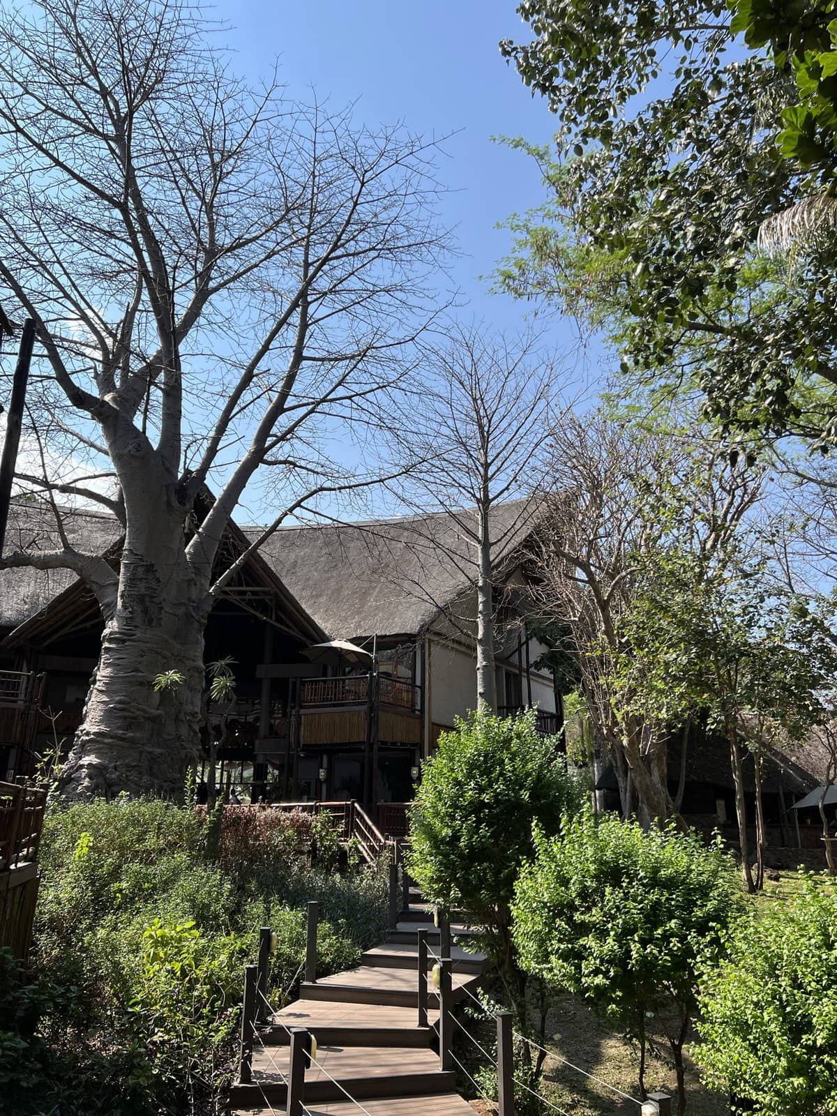 Cresta Mowana Safari Resort & Spa: Hidden Luxury in Botswana