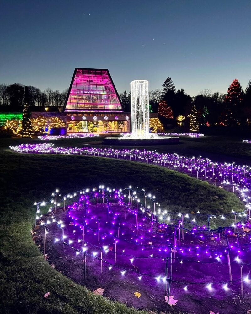 A Guide to the Winter Festival of Lights in Niagara Falls