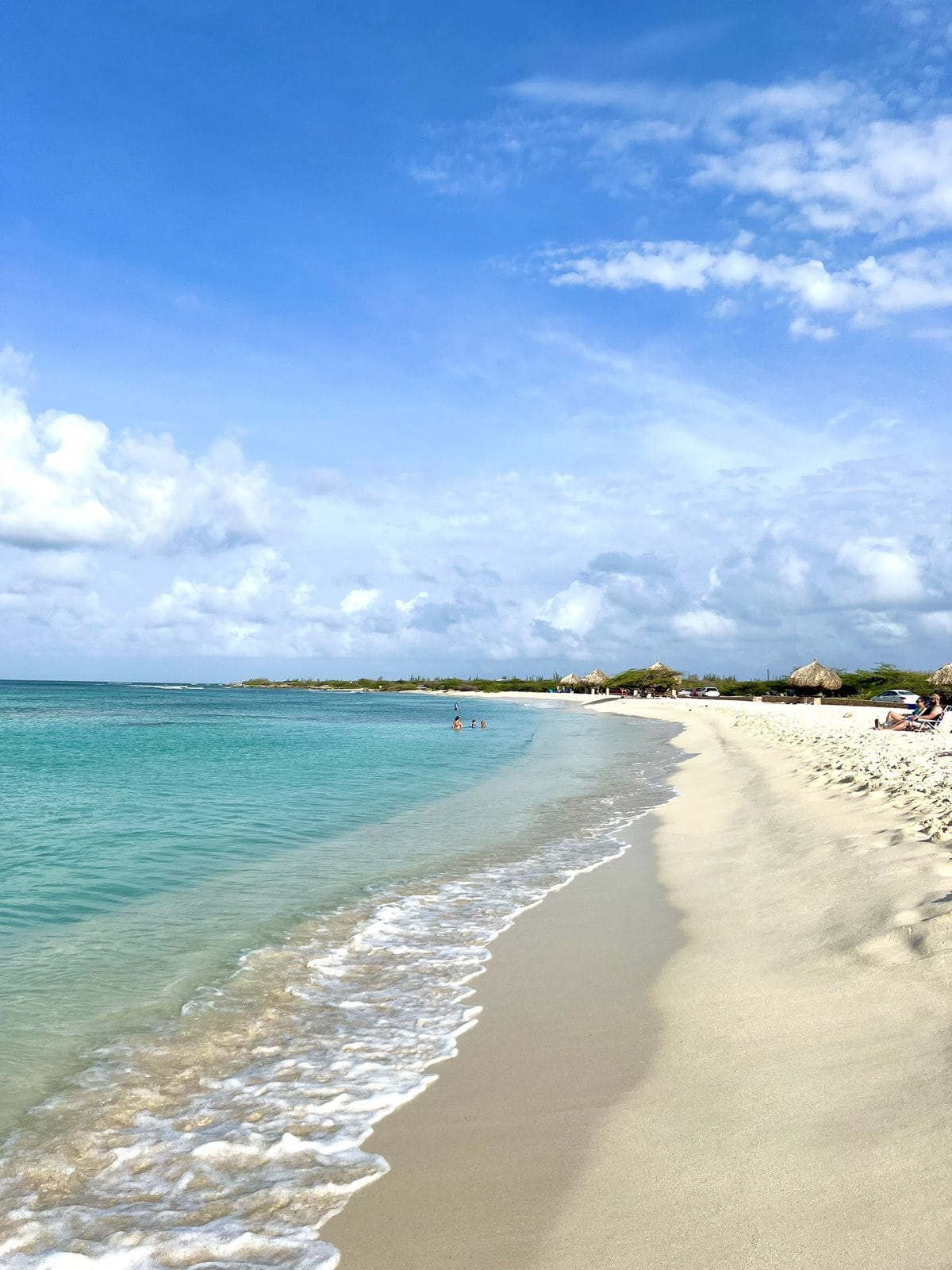 7 Unique Beaches in Aruba to Discover (+ Visiting Tips!)