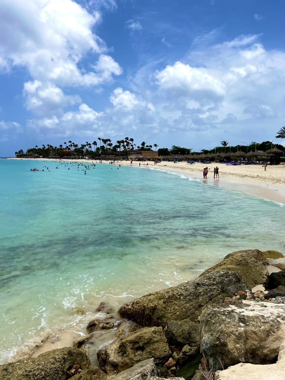7 Unique Beaches in Aruba to Discover (+ Visiting Tips!)