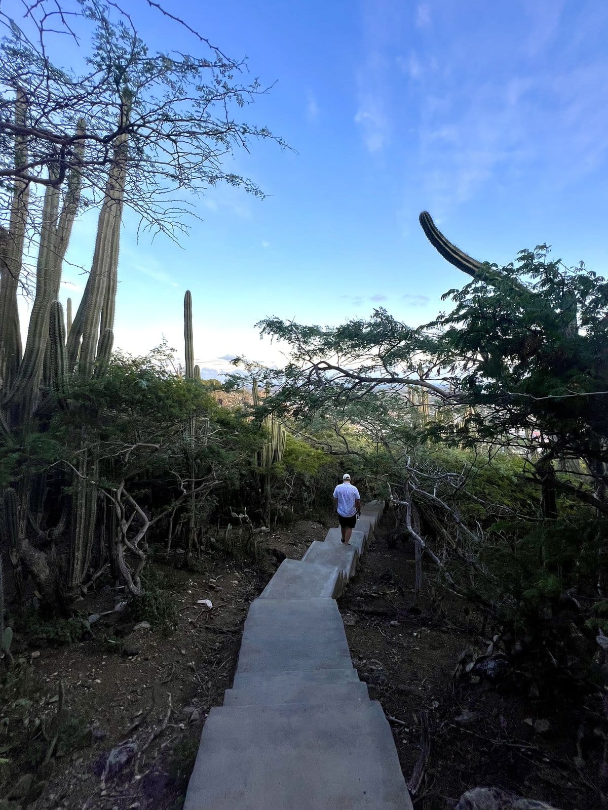 Hiking Hooiberg Mountain in Aruba (Things to Know!)