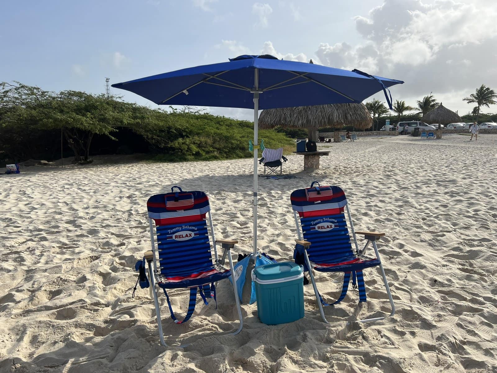 7 Unique Beaches in Aruba to Discover (+ Visiting Tips!)