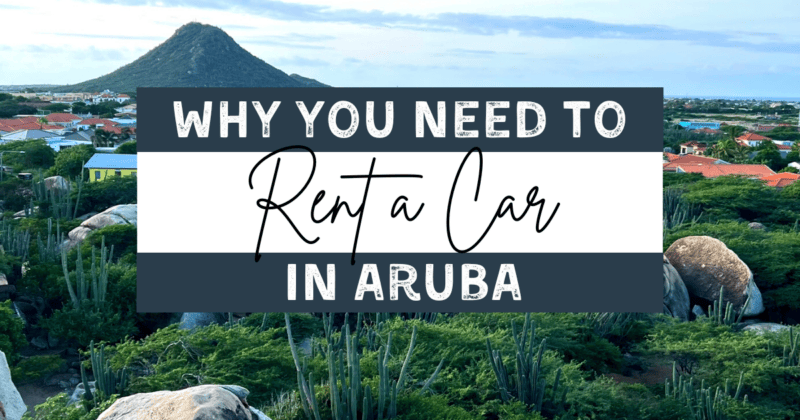 Everything You Need to Know About Renting a Car in Aruba!