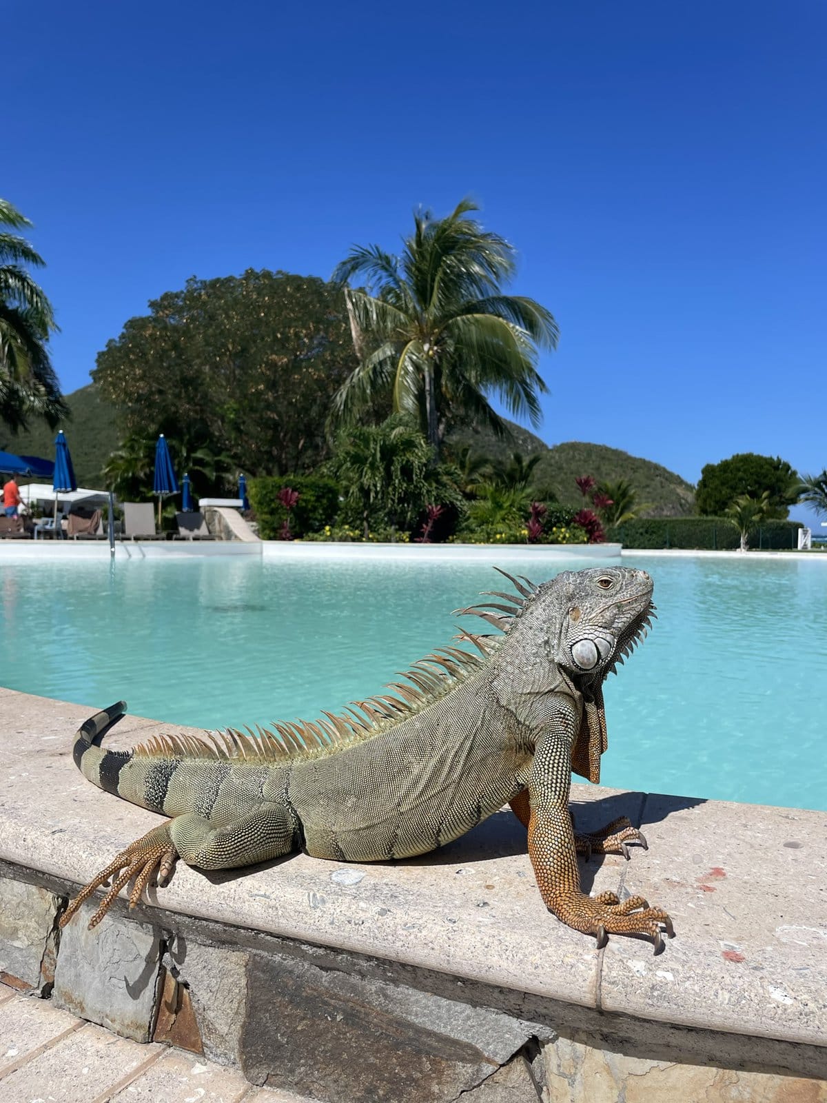 Secrets St Martin Resort Review: A Hidden Paradise in the Caribbean