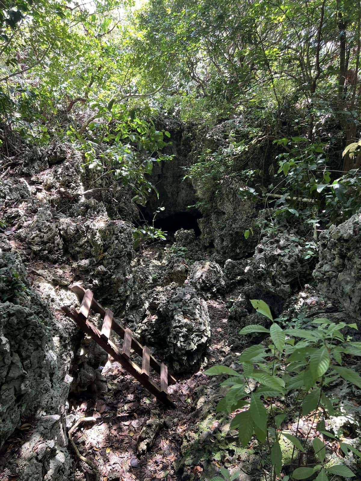 What to Do in Utila if You Don’t Dive (or Just Need a Break!)