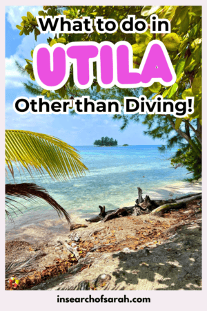 What to Do in Utila if You Don’t Dive (or Just Need a Break!)