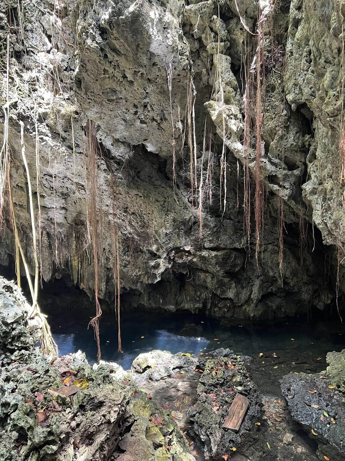 What to Do in Utila if You Don’t Dive (or Just Need a Break!)