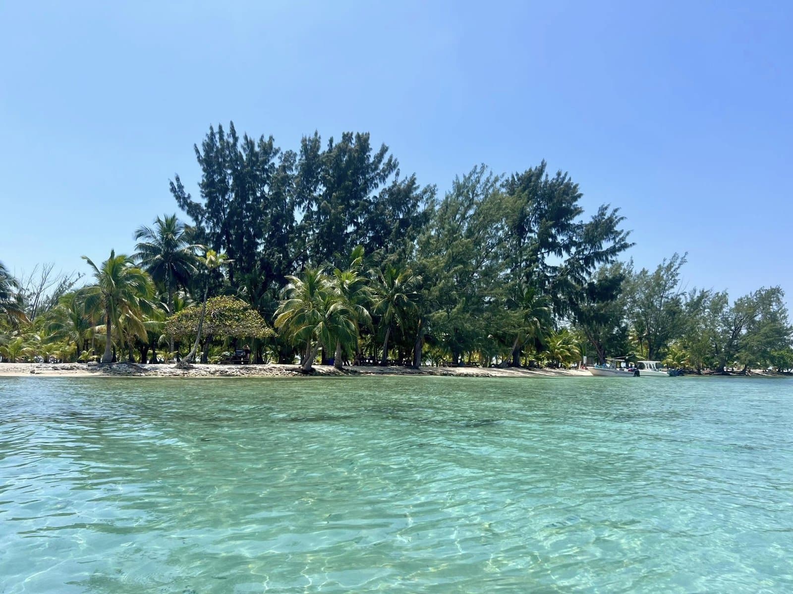 What to Do in Utila if You Don’t Dive (or Just Need a Break!)